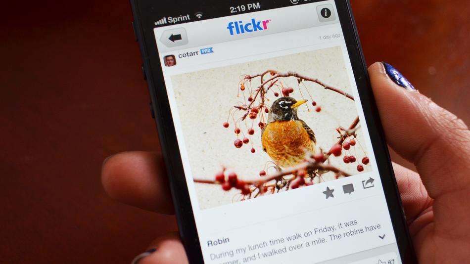 Twitter venceu afinal - dps do Facebook, Flickr também adota as # ...